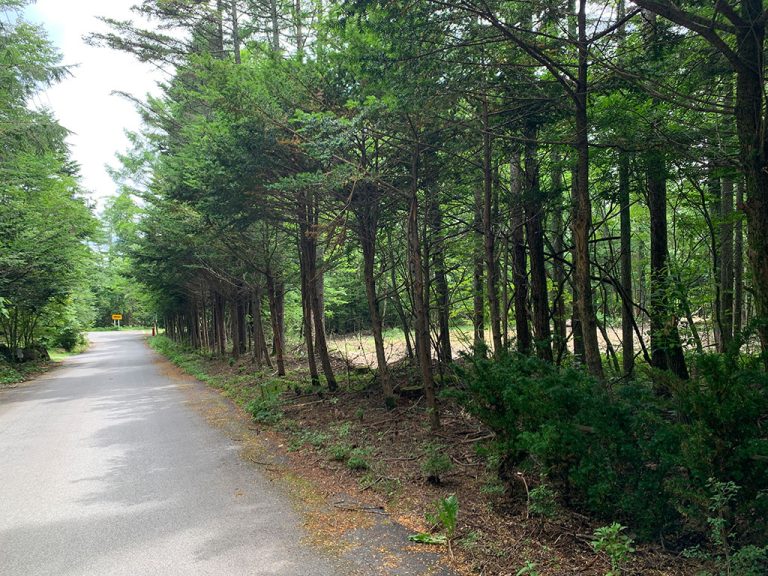 物件（土地のみ） | 清里の森 自然とのコミュニケーション【別荘・スポーツ施設・体験工房・音楽堂etc.】