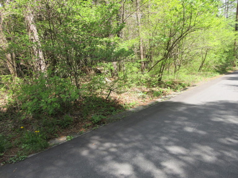 物件（土地のみ） | 清里の森 自然とのコミュニケーション【別荘・スポーツ施設・体験工房・音楽堂etc.】