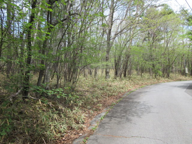 物件（土地のみ） | 清里の森 自然とのコミュニケーション【別荘・スポーツ施設・体験工房・音楽堂etc.】