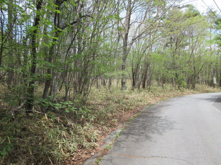 物件（土地のみ） | 清里の森 自然とのコミュニケーション【別荘・スポーツ施設・体験工房・音楽堂etc.】
