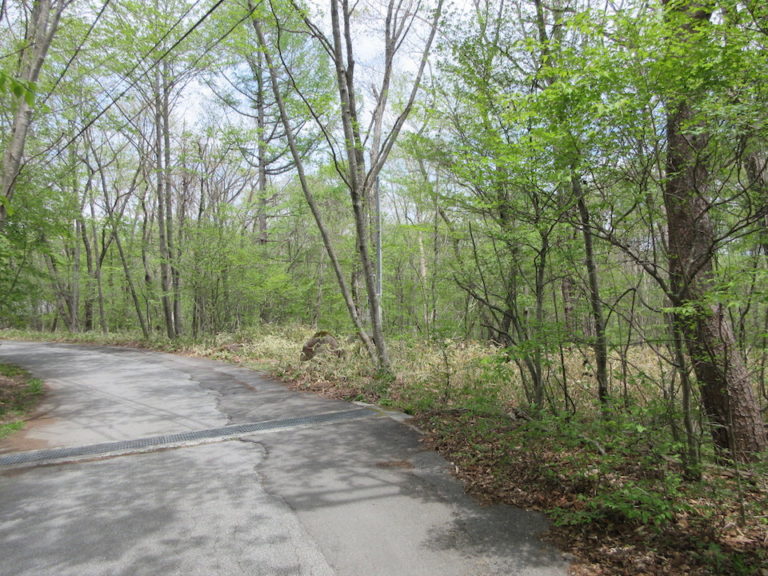 物件（土地のみ） | 清里の森 自然とのコミュニケーション【別荘・スポーツ施設・体験工房・音楽堂etc.】