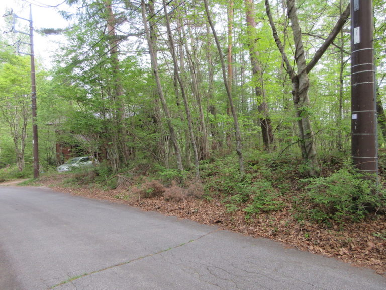 物件（土地のみ） | 清里の森 自然とのコミュニケーション【別荘・スポーツ施設・体験工房・音楽堂etc.】