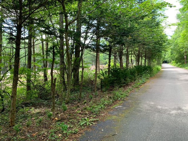 物件（土地のみ） | 清里の森 自然とのコミュニケーション【別荘・スポーツ施設・体験工房・音楽堂etc.】